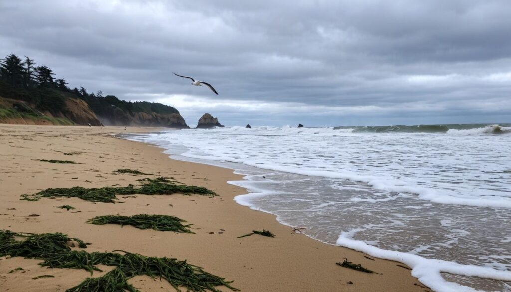 Things To Do In Gold Beach Oregon: 5 Must-Try Activities!
