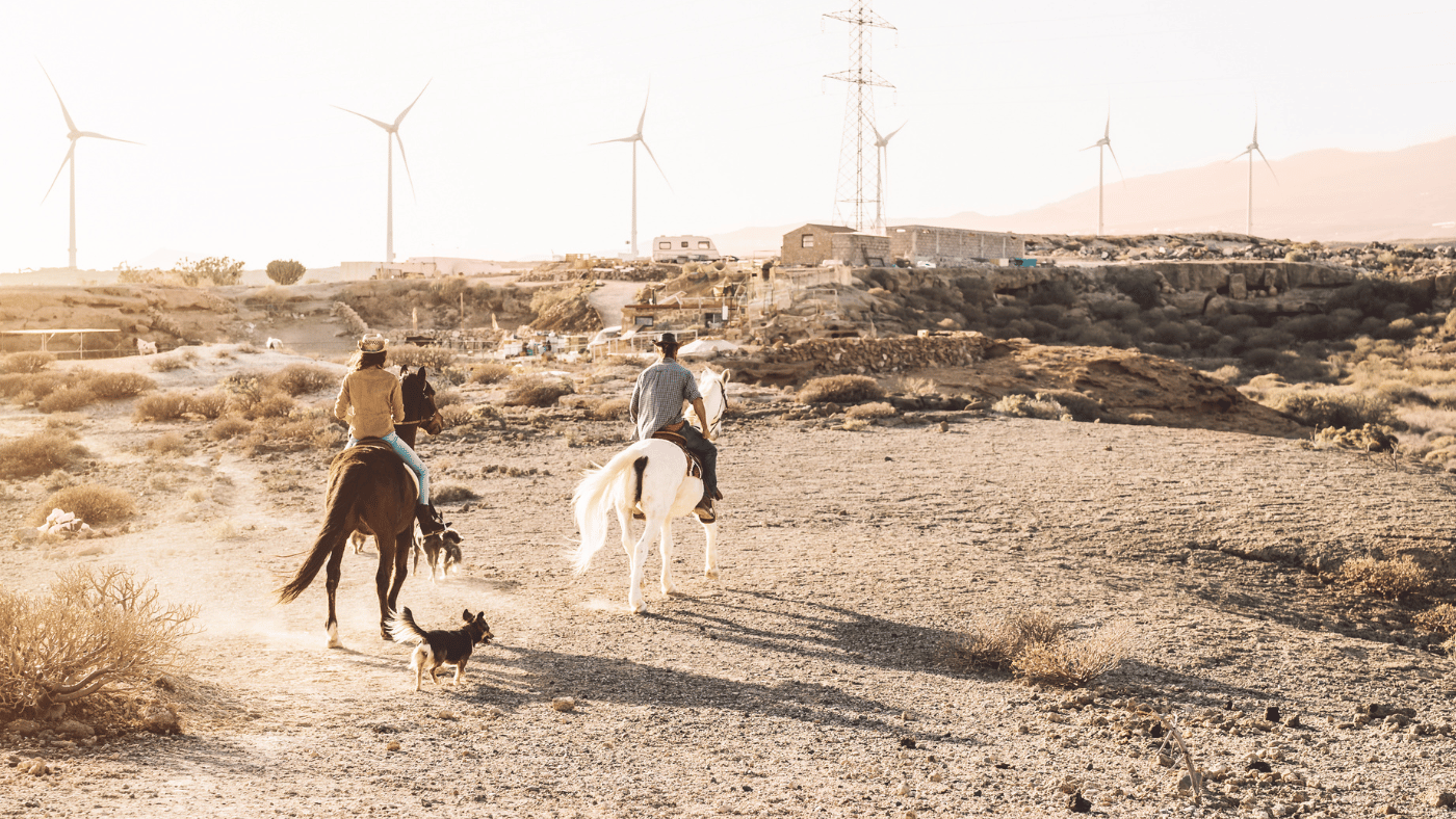 20 Best Things to Do in Joshua Tree California | 2024 Guide