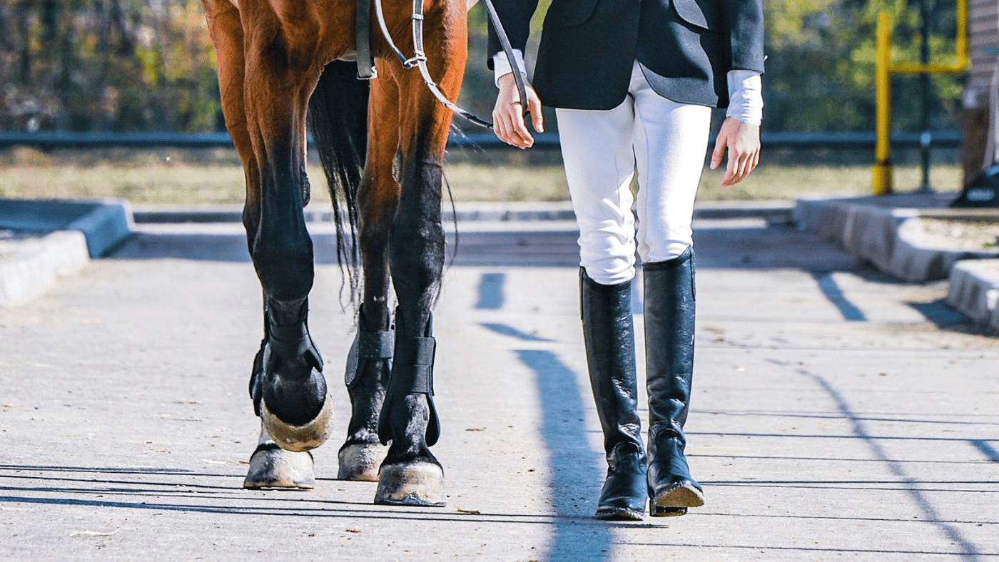 15 Best Things to Do in Southern Pines NC | 2024 Guide