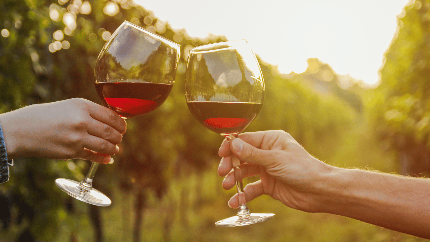 15 Best Things to Do in Southern Pines NC | 2024 Guide