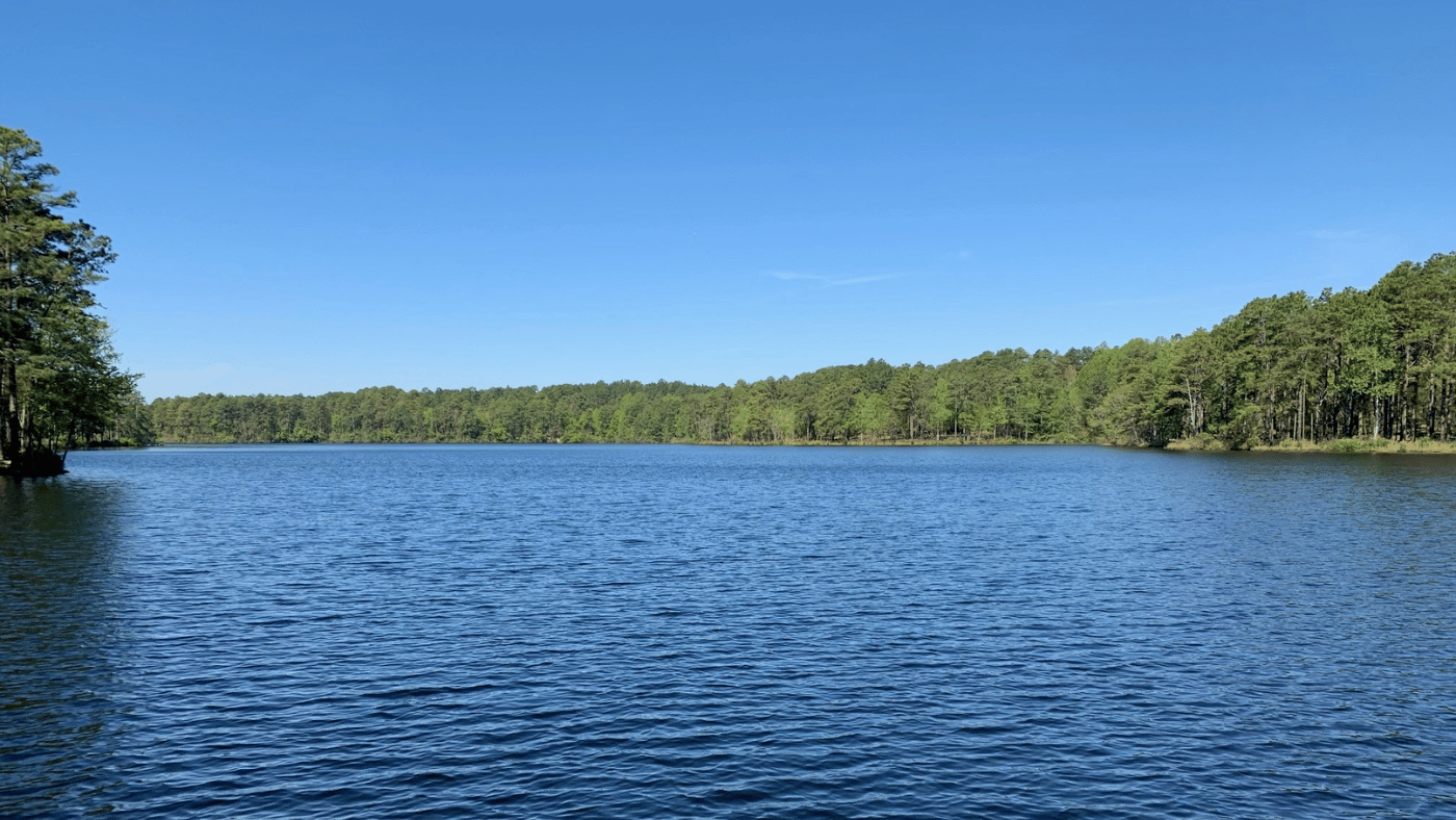 15 Best Things to Do in Southern Pines NC | 2024 Guide