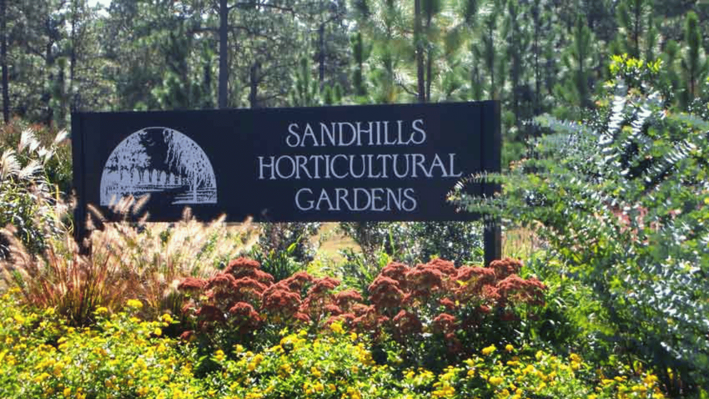 15 Best Things to Do in Southern Pines NC | 2024 Guide